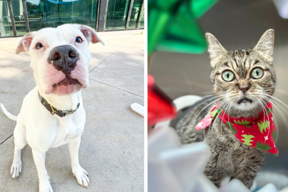 Official 2025/26 Broward County Public Schools Color Calendar — Sunrise Talk