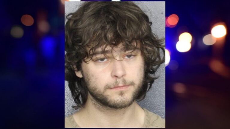 Man High on Mushrooms Crashes Car, Robs 7-Eleven Multiple Times ...